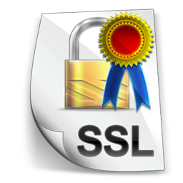 Ssl Certificate Icon
