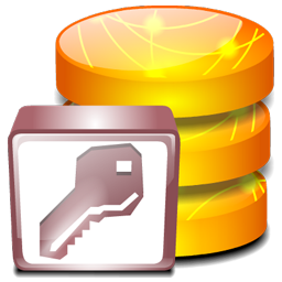 access icon