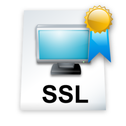 Ssl Certificate Icon