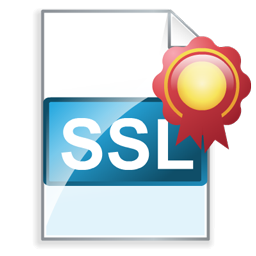 Ssl Certificate Icon