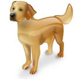 golden retriever icon