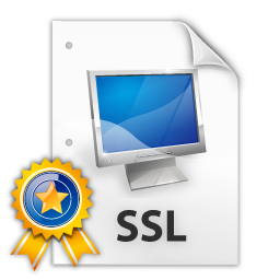 Ssl Certificate Icon