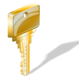 primary key icon
