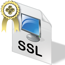 Ssl Certificate Icon