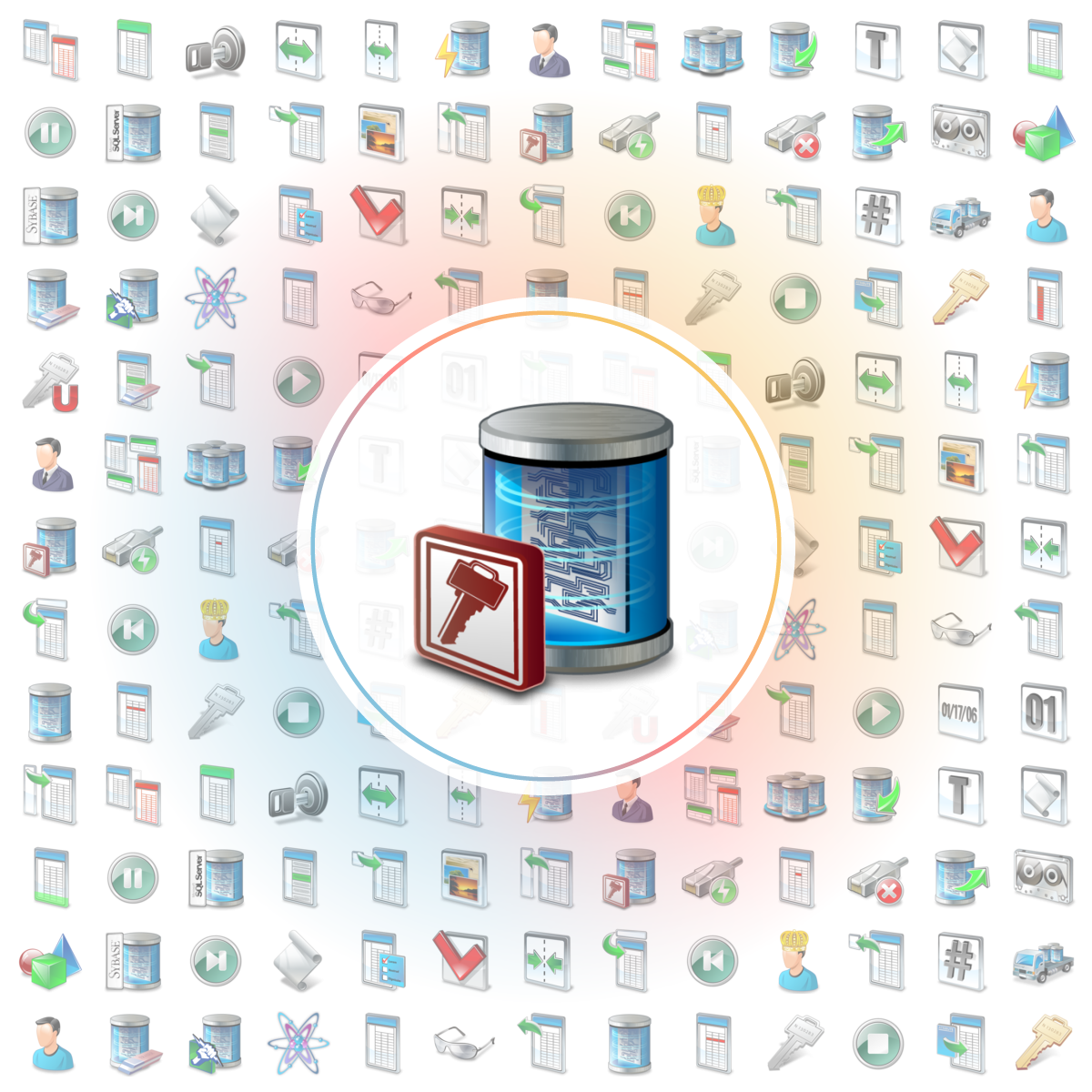 Access Icon - Iconshock