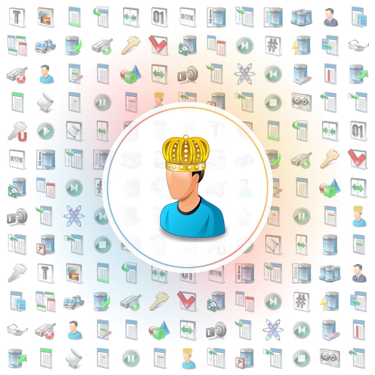 Privilege Icon - Iconshock