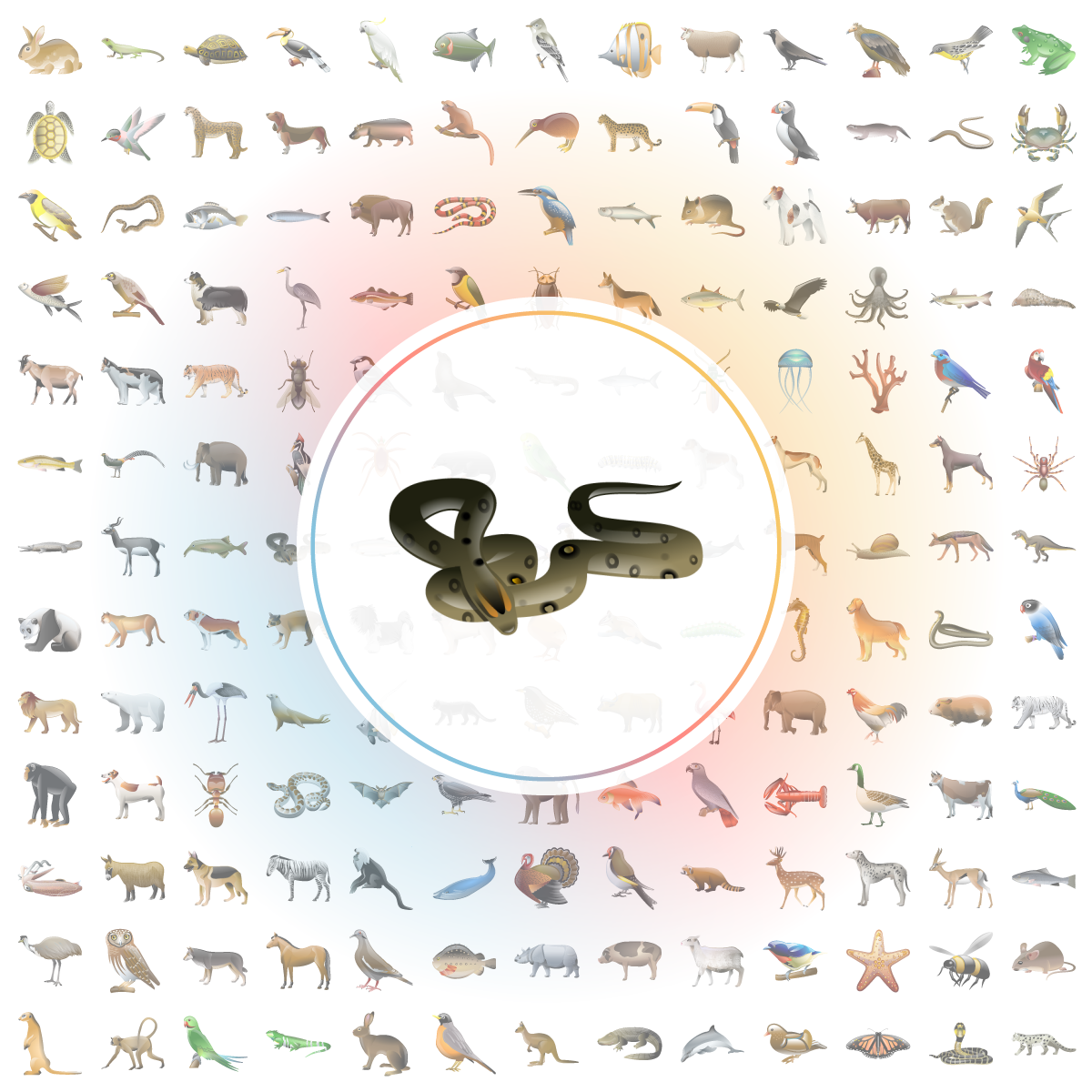 Anaconda Icon - Iconshock