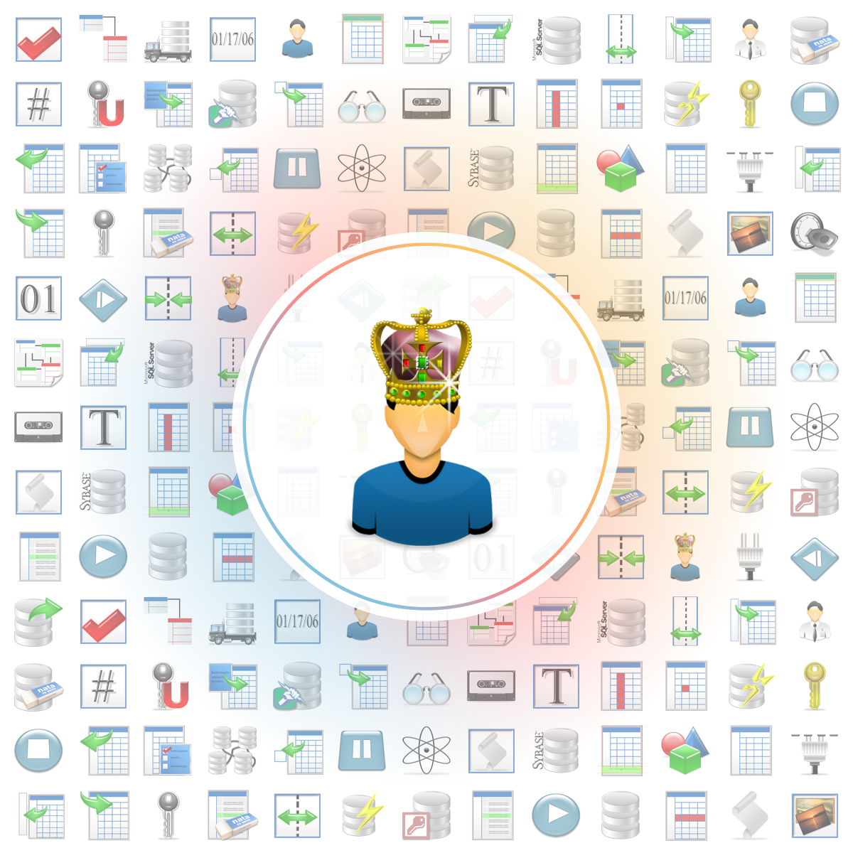 Privilege Icon - Iconshock